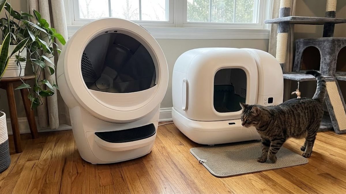 Litter-Robot 4 vs Other Automatic Litter Boxes (2026): Which One Is ...